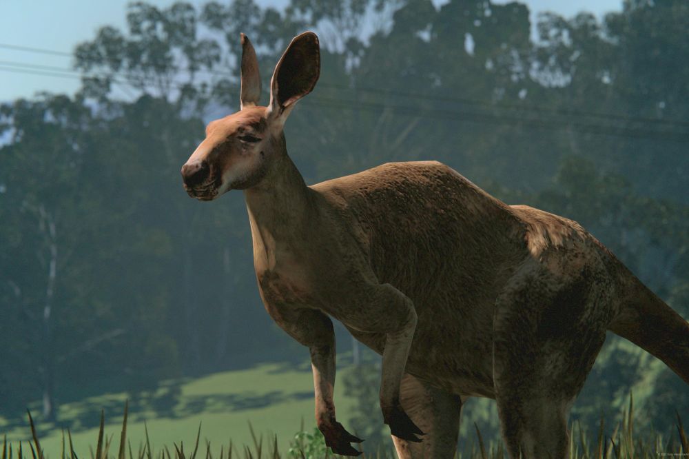 League FAQs :: NT Racing League